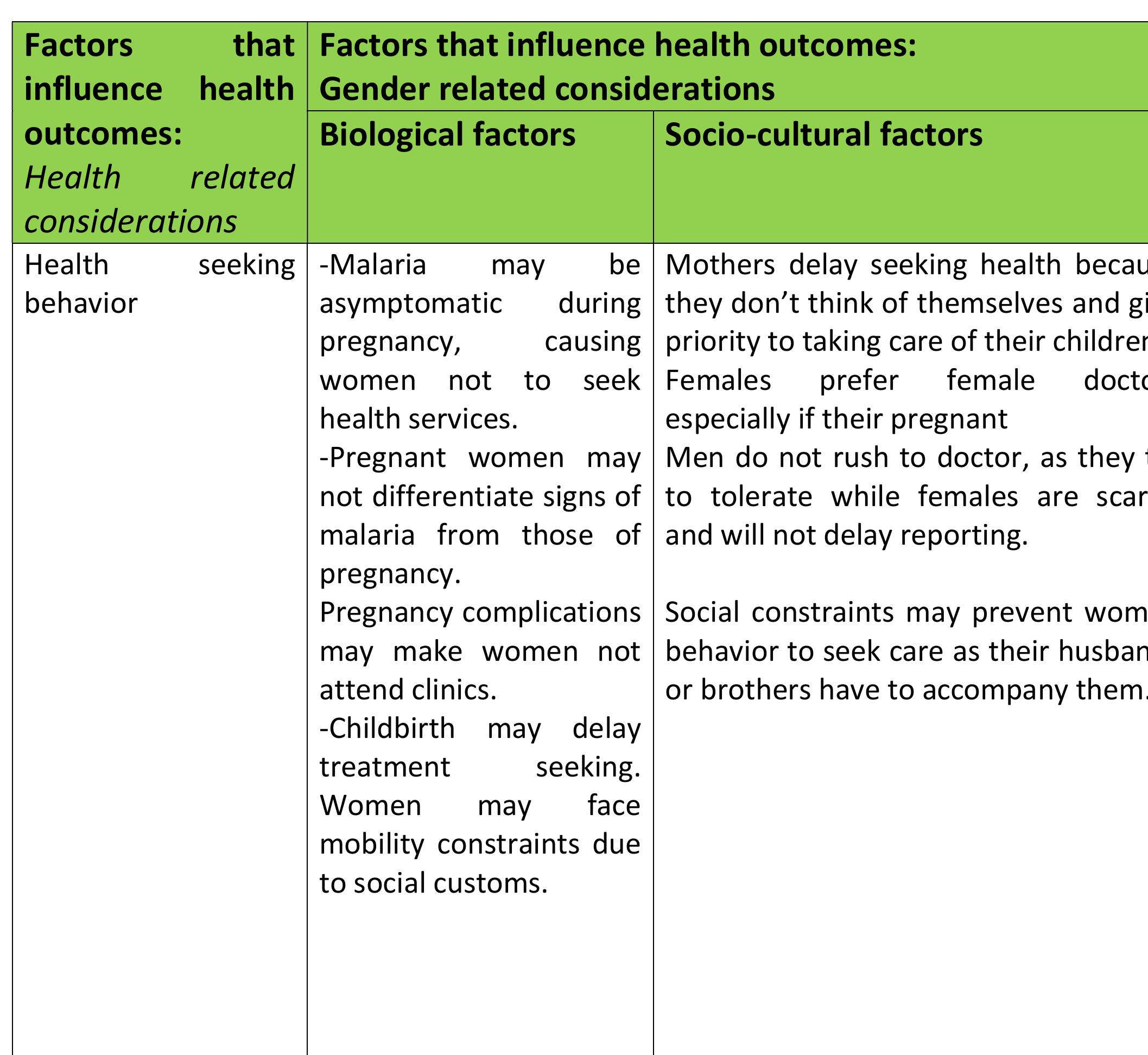 Figure 4 - Gender Analysis Matrix