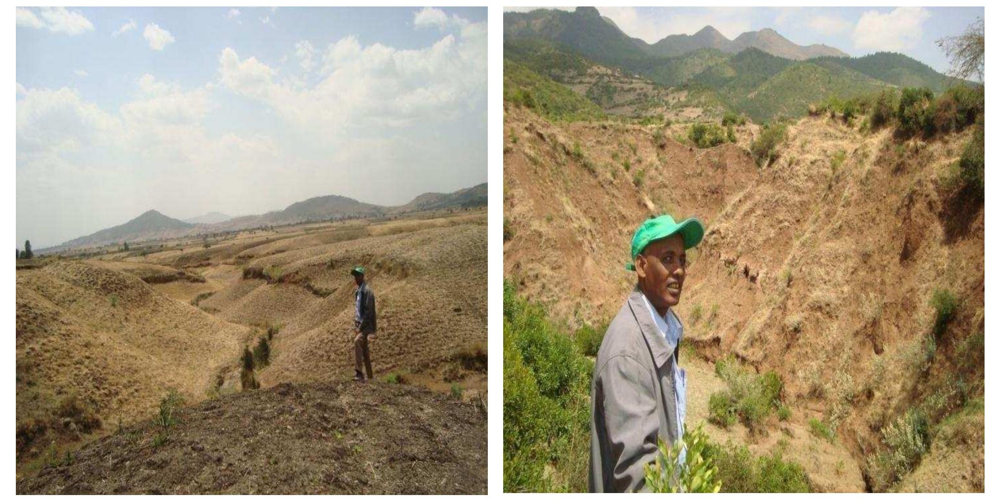 Gully erosion in y erer selassie kebele administration