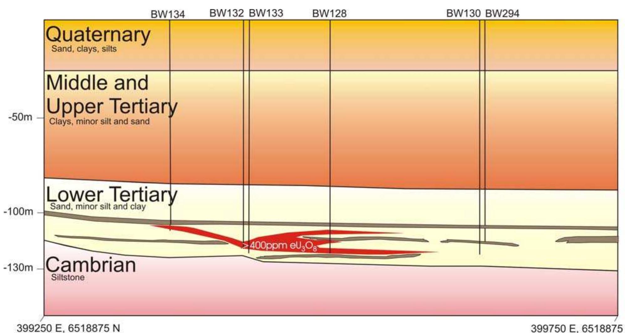 Cross-section along survey line at the goulds dam prospect