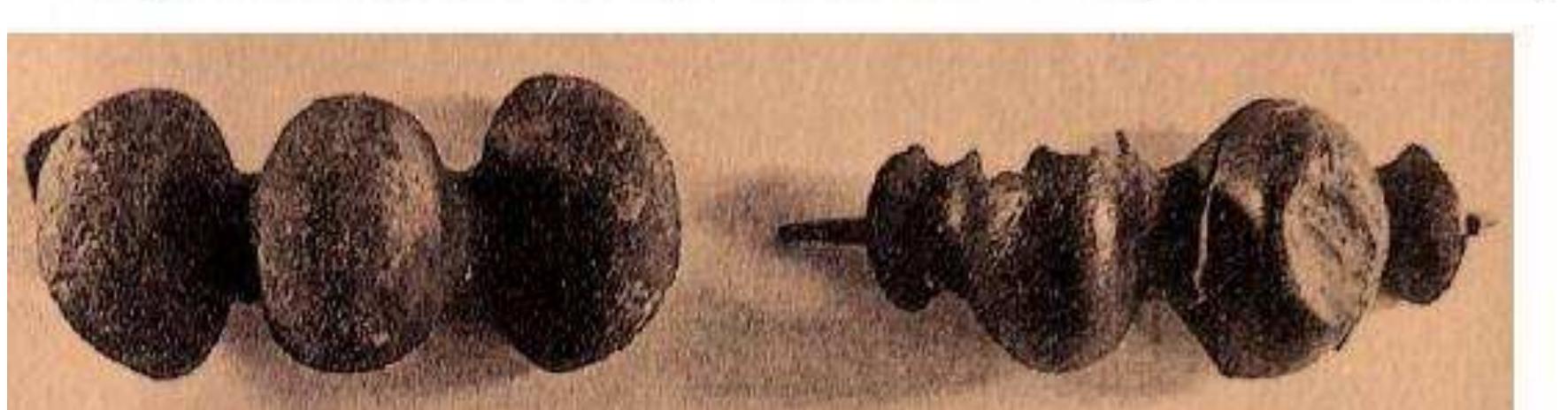 Fragments of celtic hohlbuckelringe from sboryanovo,