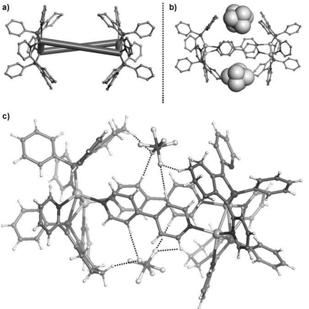 A) schematic view showing the topology of the metallacycle