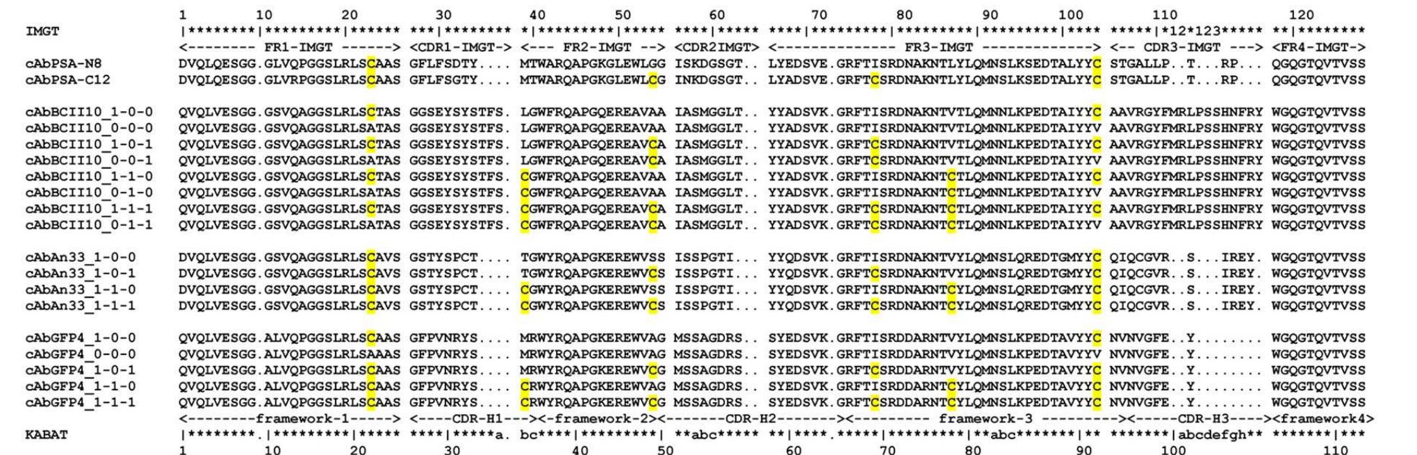 Sequence alignment of nanobodies showing framework, cdr, and