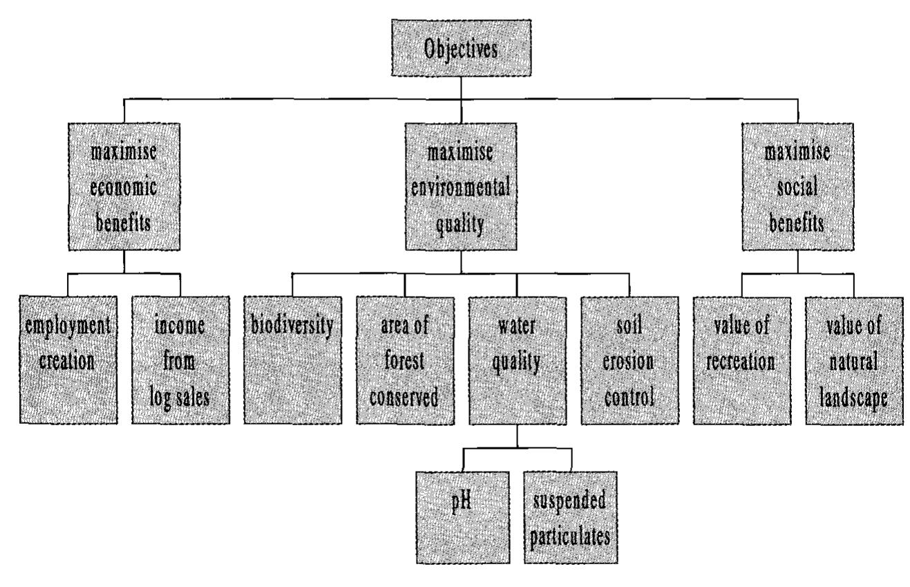 3 hierarchy of criteria for the forest management example