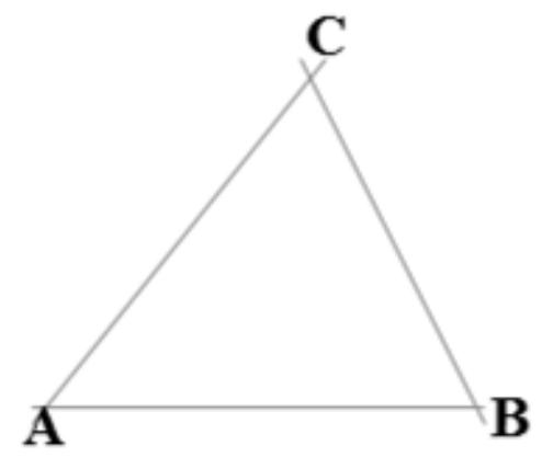 Illustration of a plane geometry figure. share all points in