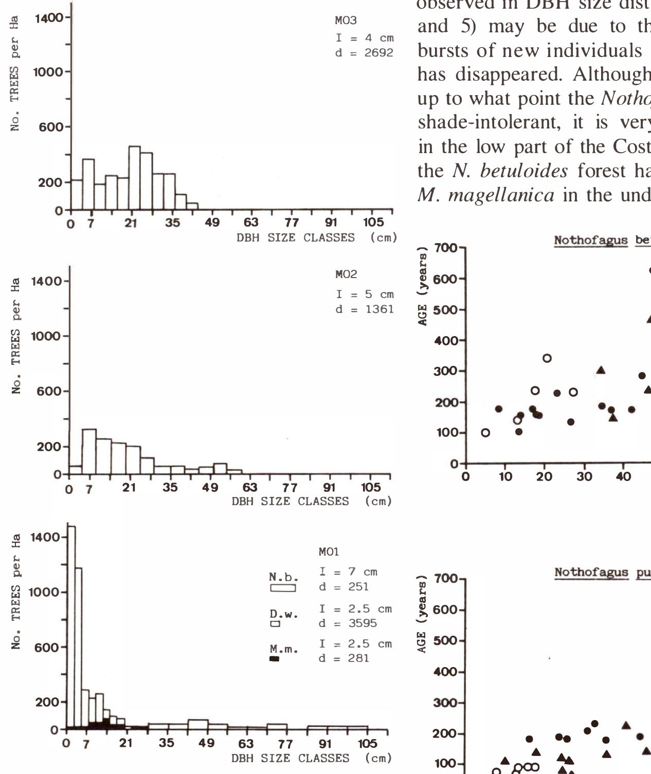 S Distribution Of Trees According To The Dbh Sizes In The