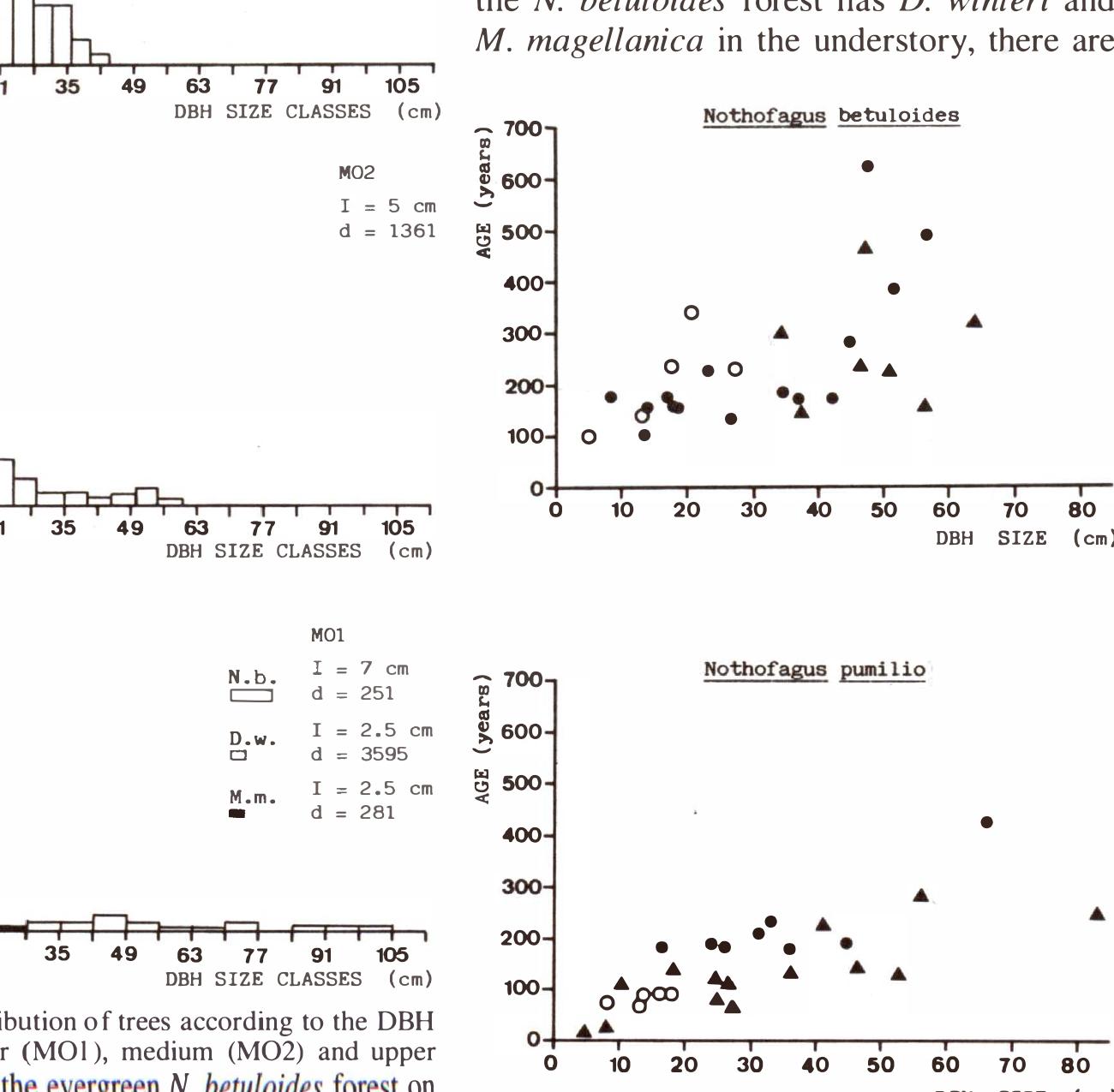 Relation between age and size of trees in 6 sampled plots.