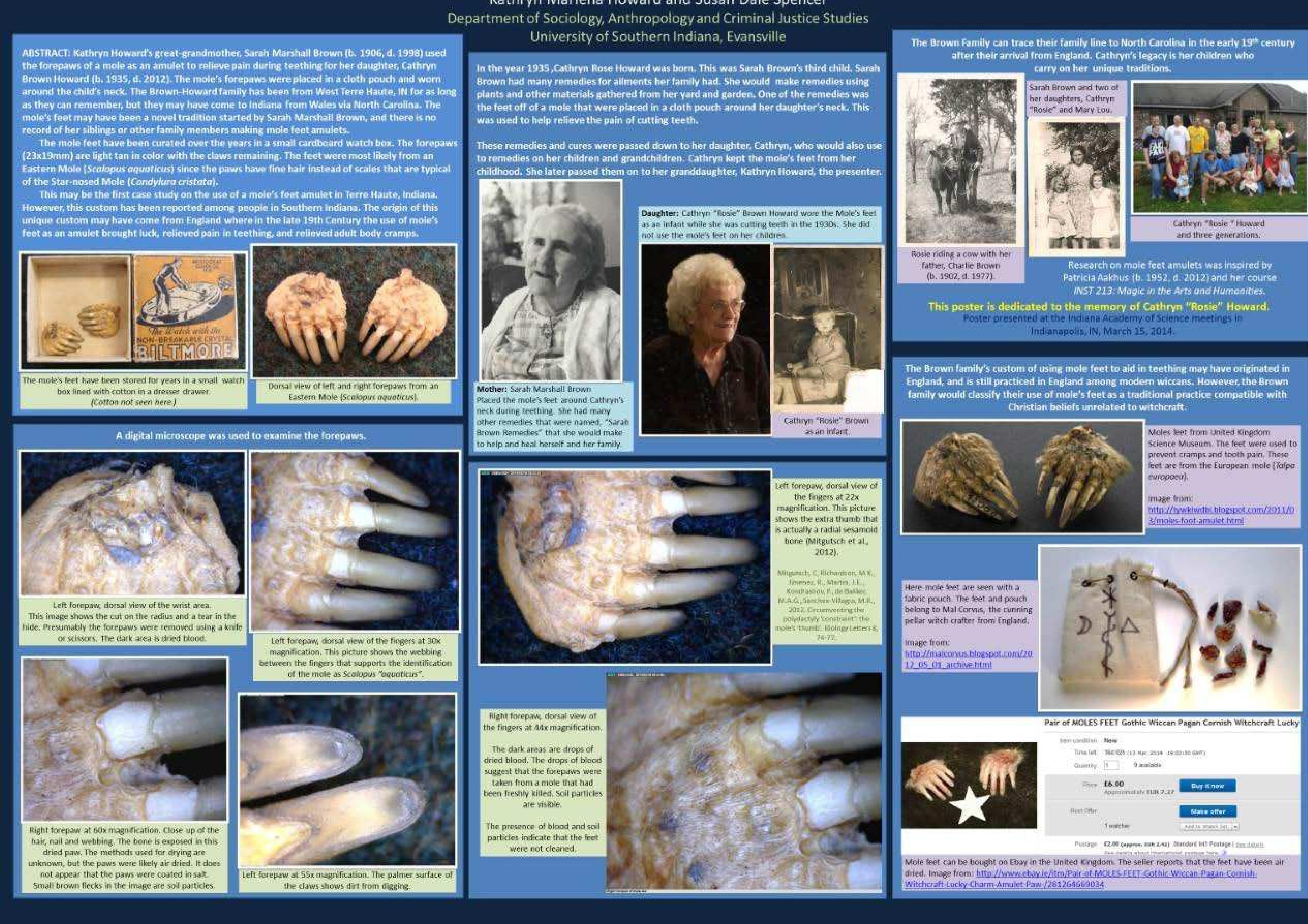Figure 1 - Mole’s Feet and Baby Teeth: A Family’s