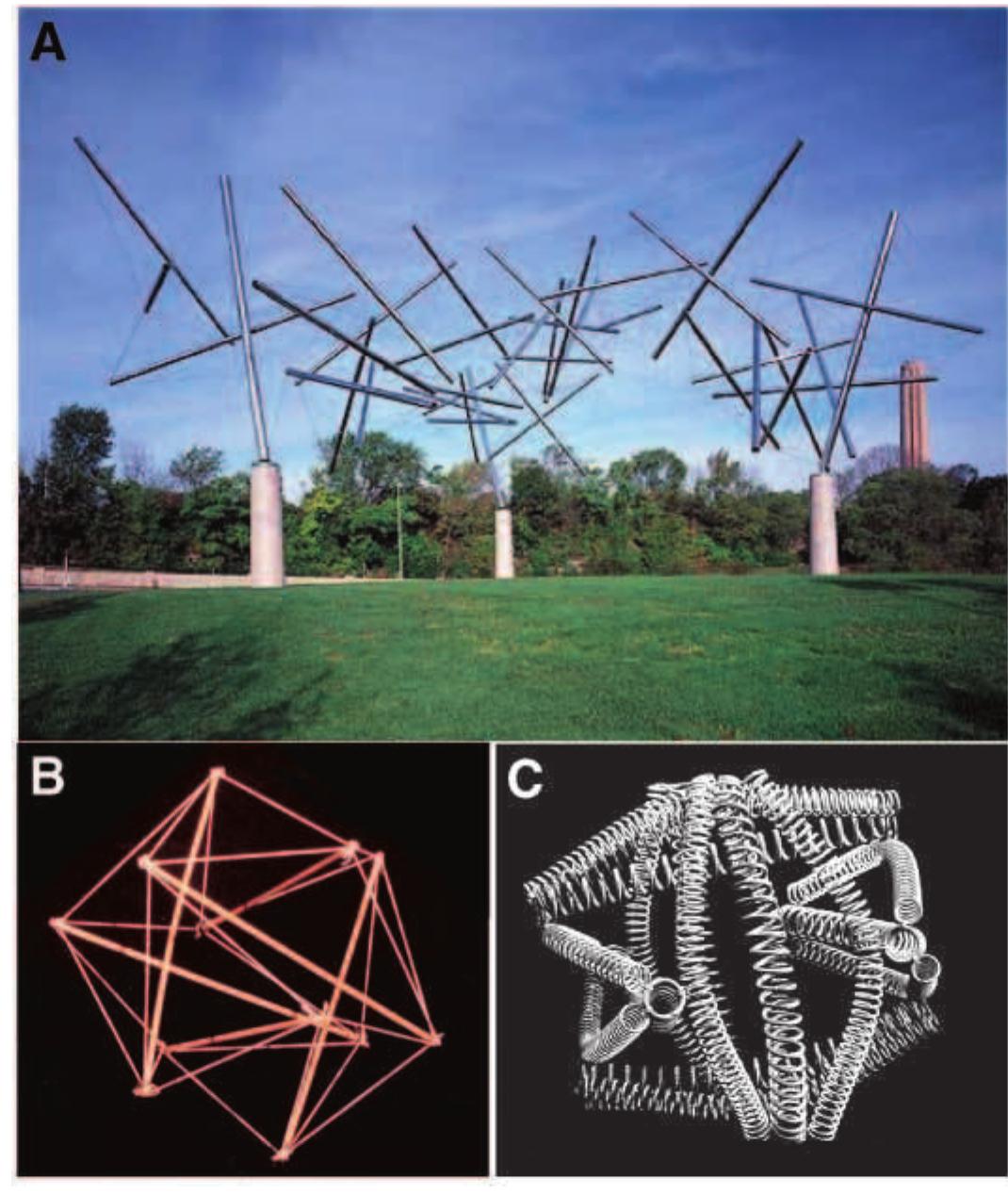 Tensegrity structures. (a) triple crown, a tensegrity