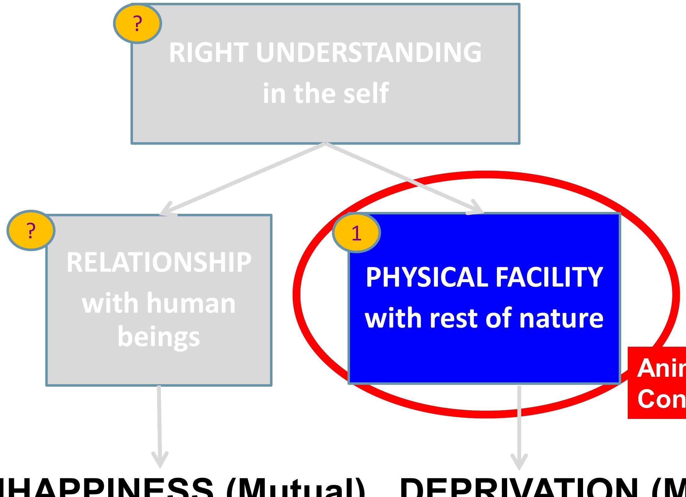 (PDF) Happiness and Prosperity – Current Scenario & Method to Fulfill ...