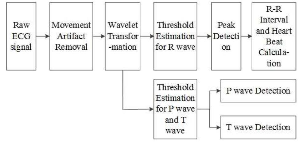 The ecg feature extraction template the algorithm is