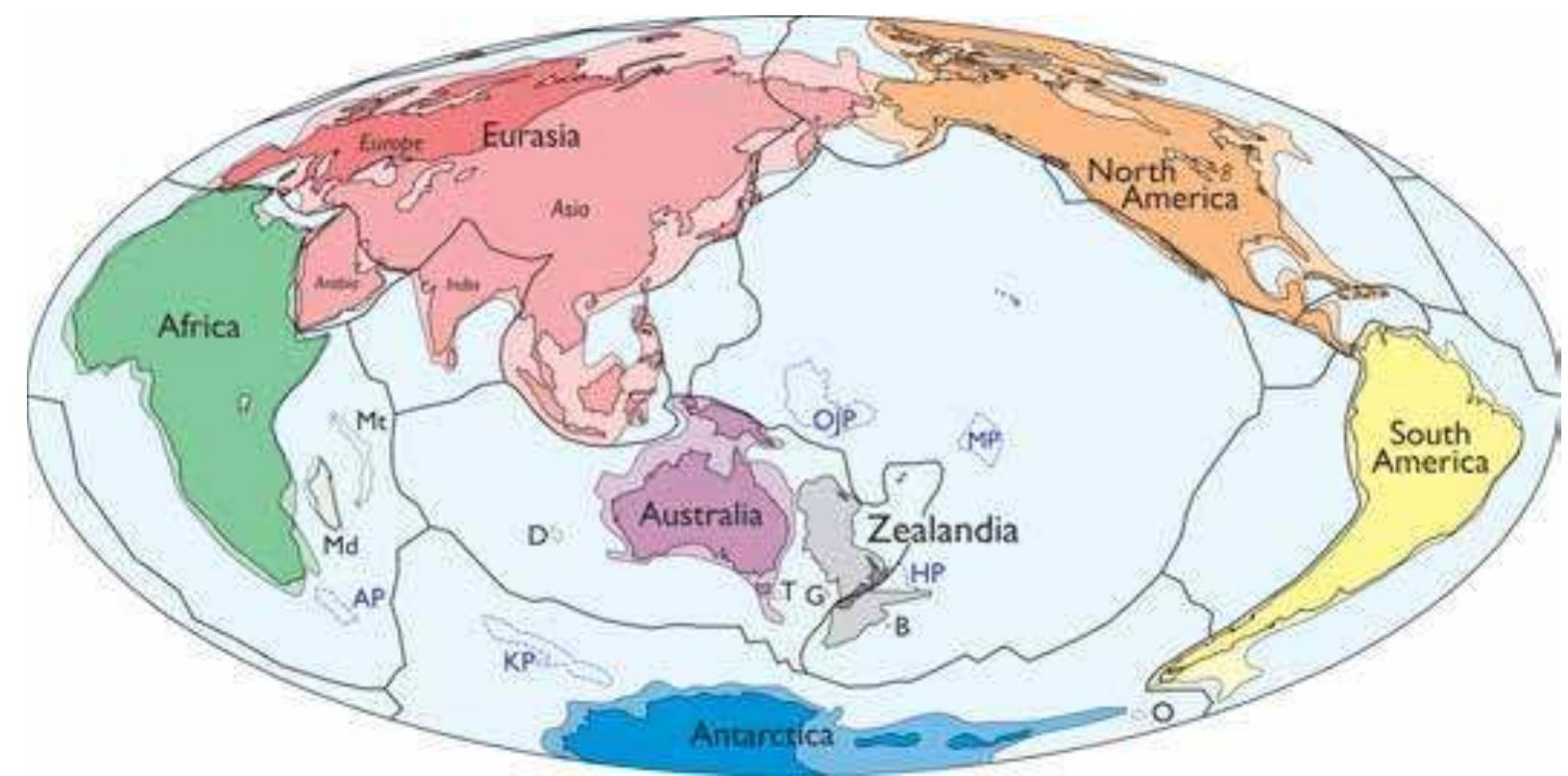 Simplified map of earth’s tectonic plates and continents,