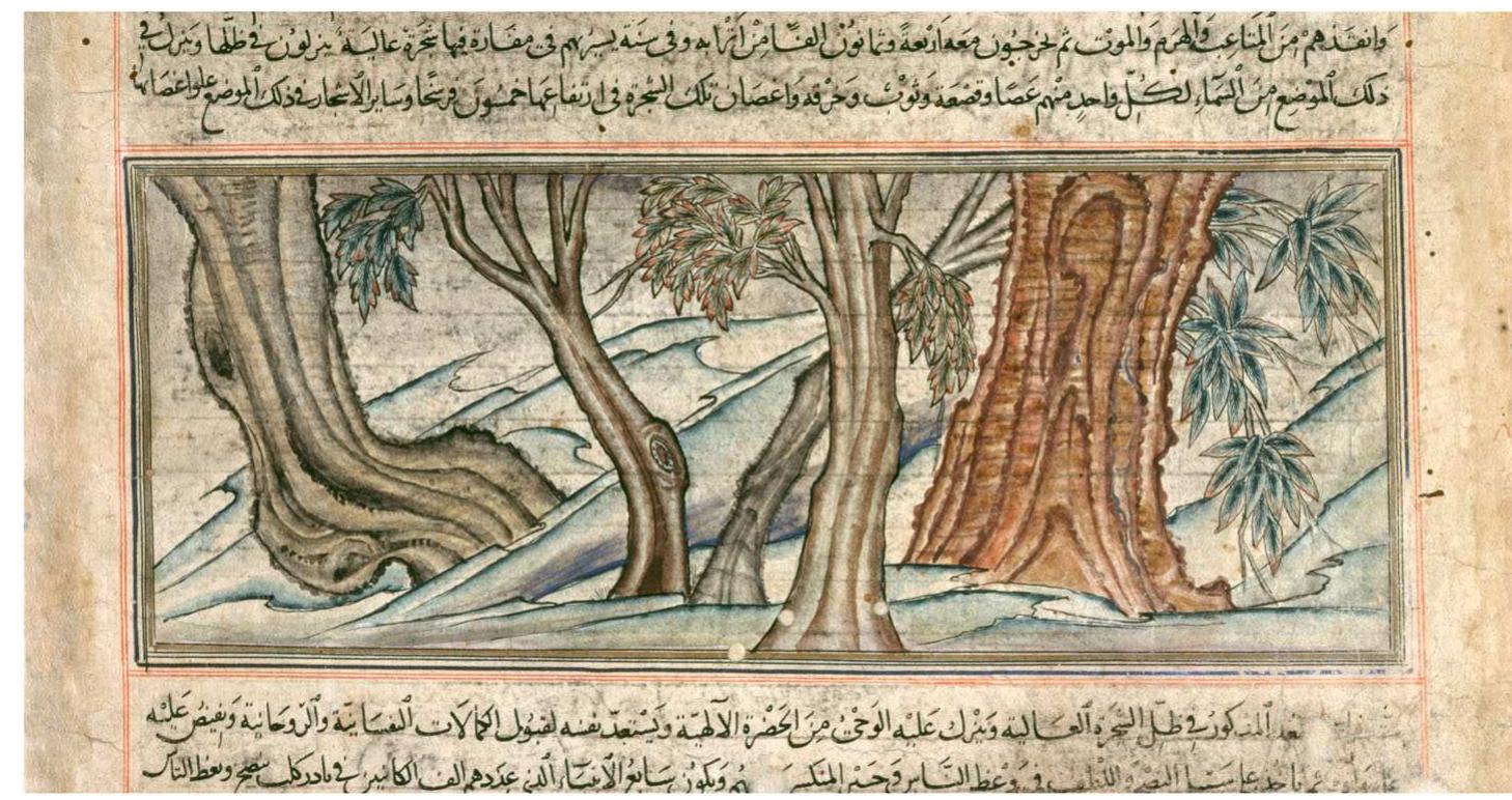 (PDF) Illustrating History: Rashid al-Din and his Compendium of Chronicles