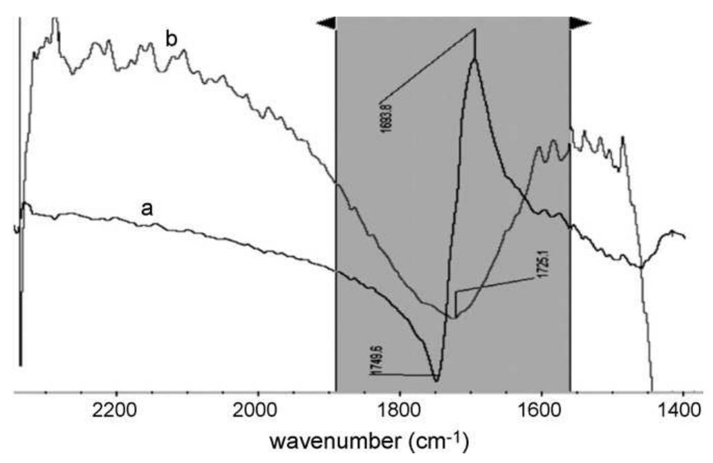 Ftir spectra of the high reflectivity index pvacooh thin