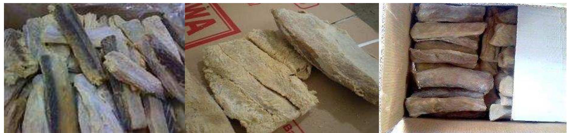 Dried shark meat figure 8 shark skin