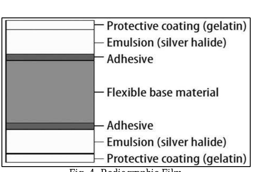 A, x-ray films radiographic film consists of the following