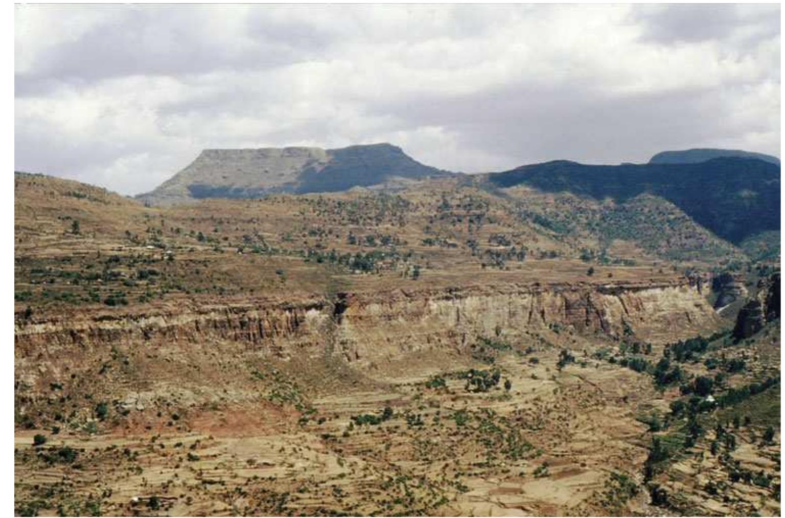 Figure 2 - Geology of Ethiopia: A Review and