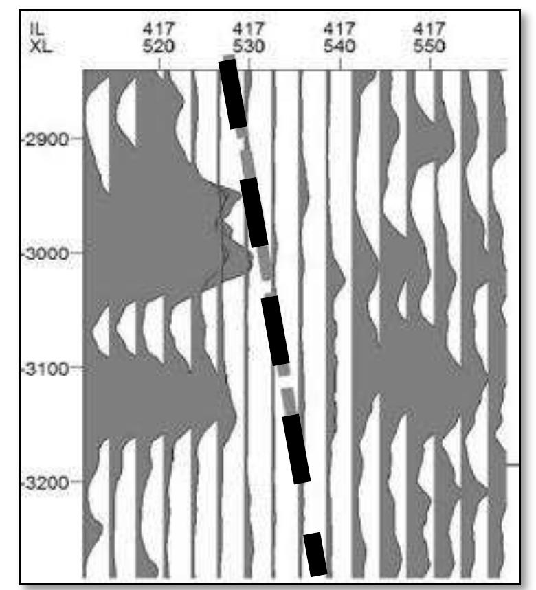 Map shows the variance of the seismic data with positive