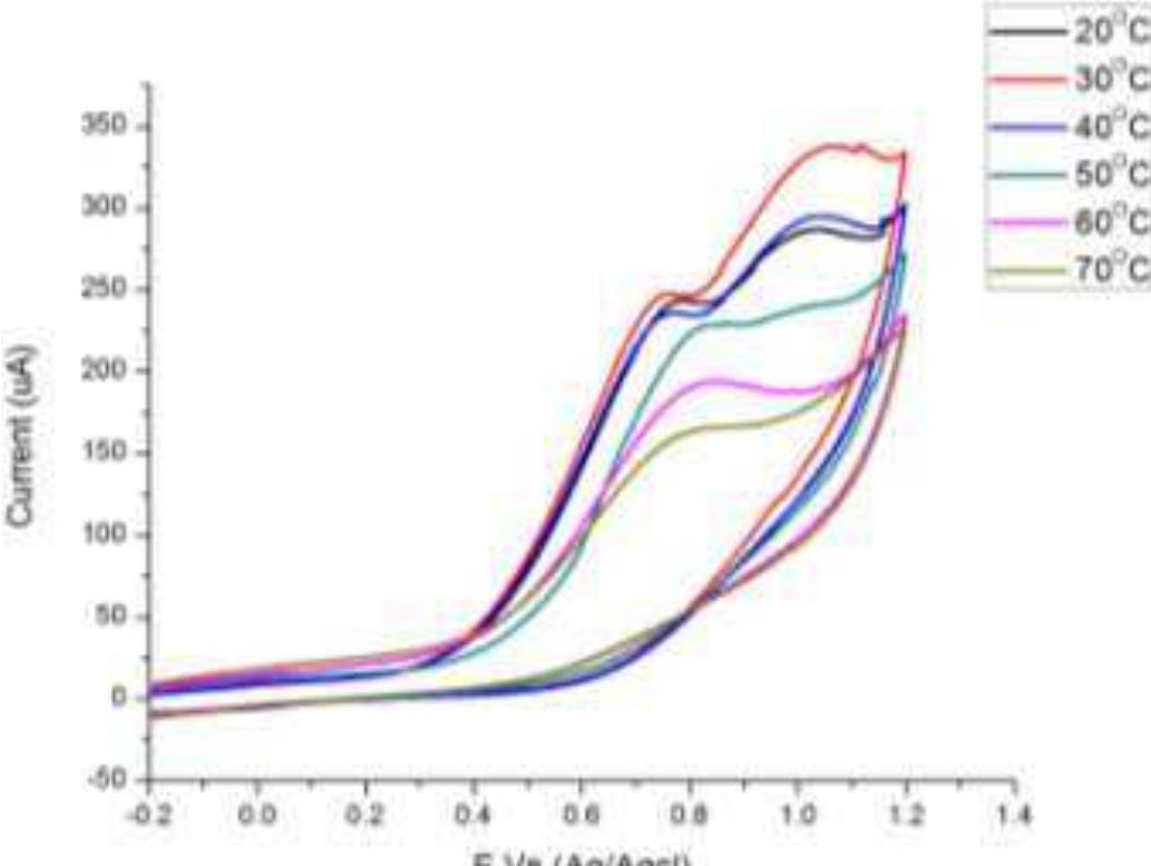 Carbon nanotube based amperometric biosensor for the