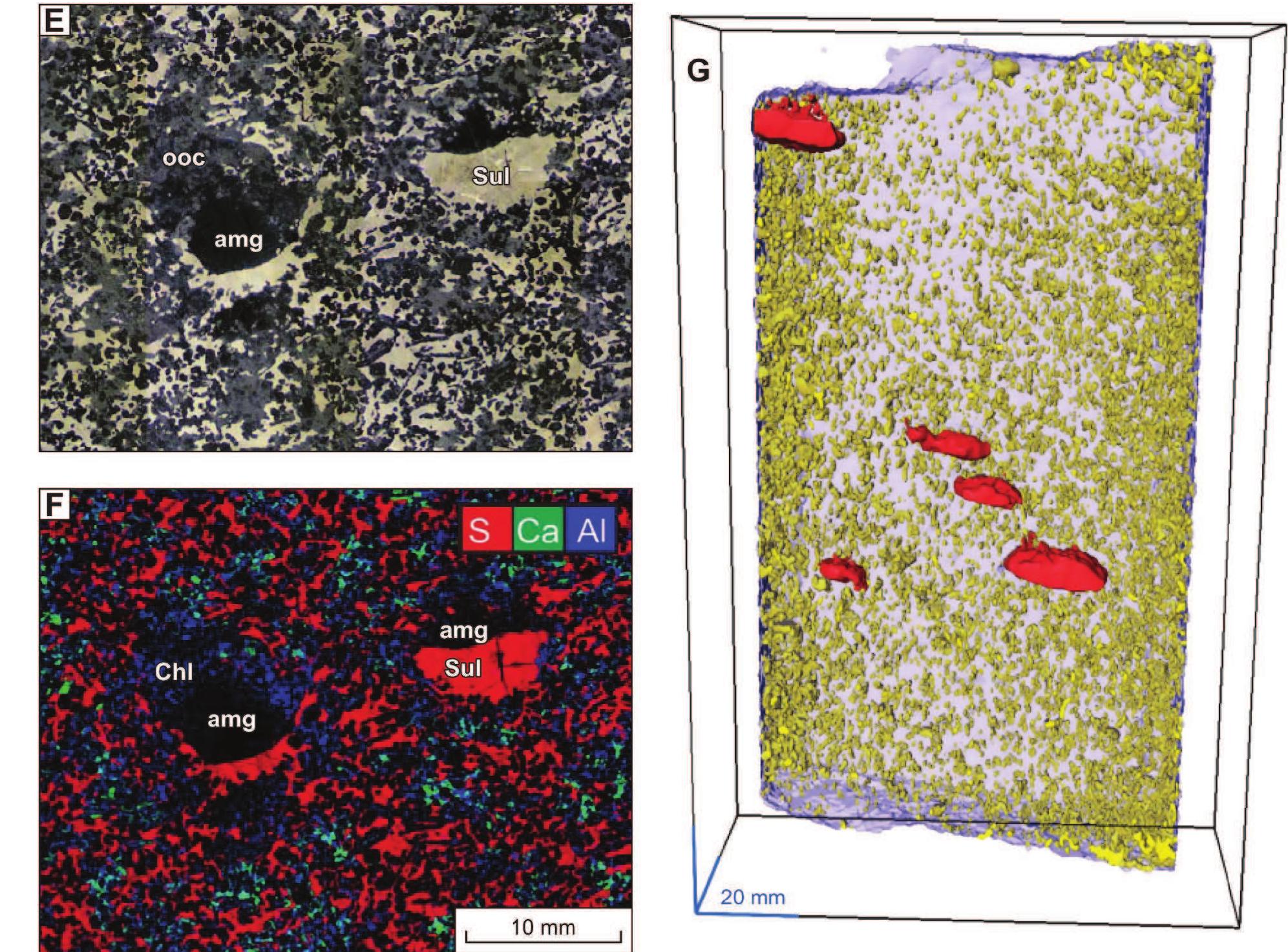 —continued (e) transmitted light photomicrograph showing