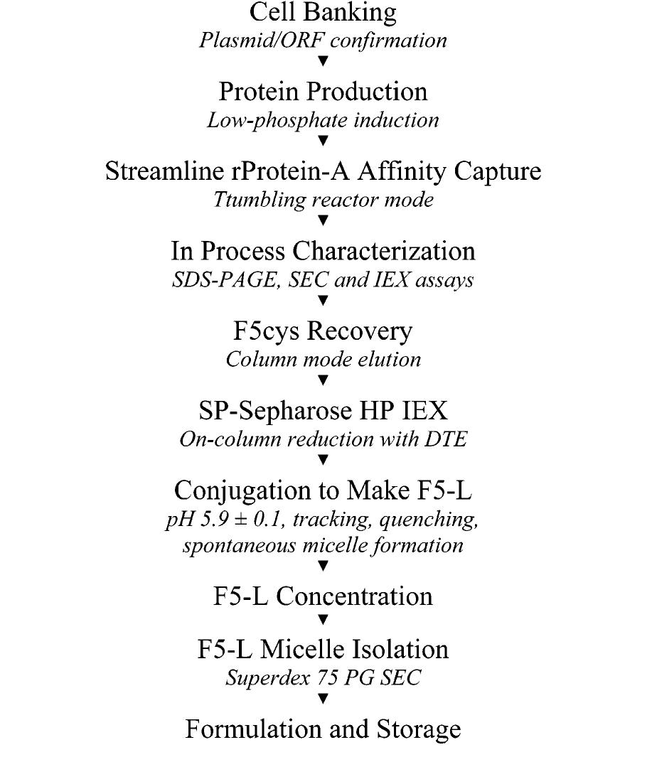 Ficys-mp-peg(2000)-dpse production process flow chart cm?