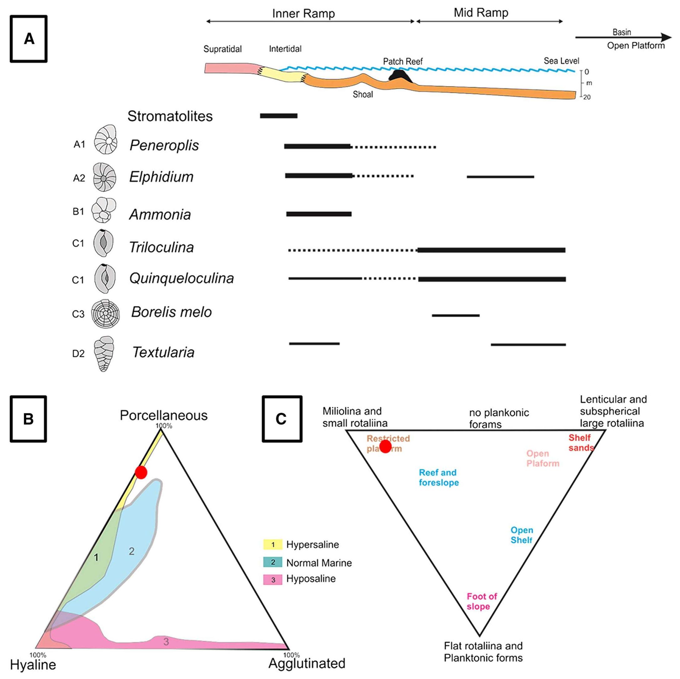 (a) models of the depositional environment of carbonate