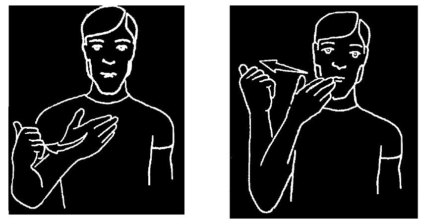 (PDF) Exploring Auslan: A Linguistic Perspective