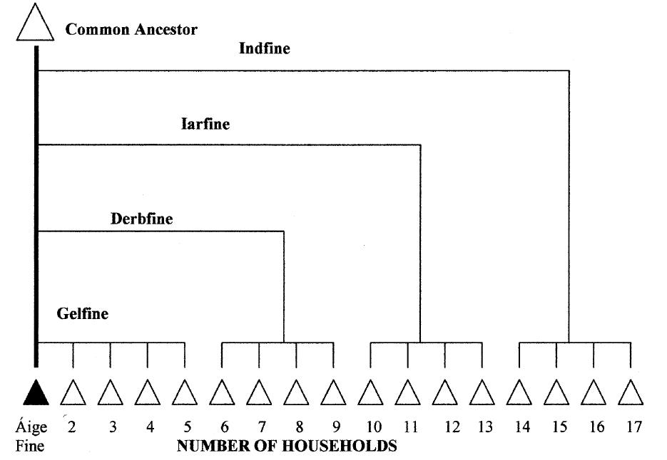 The social structure of an eighth century ad simple irish