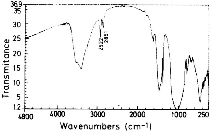 Ir spectra of samples of st. peter. 4. conclusions