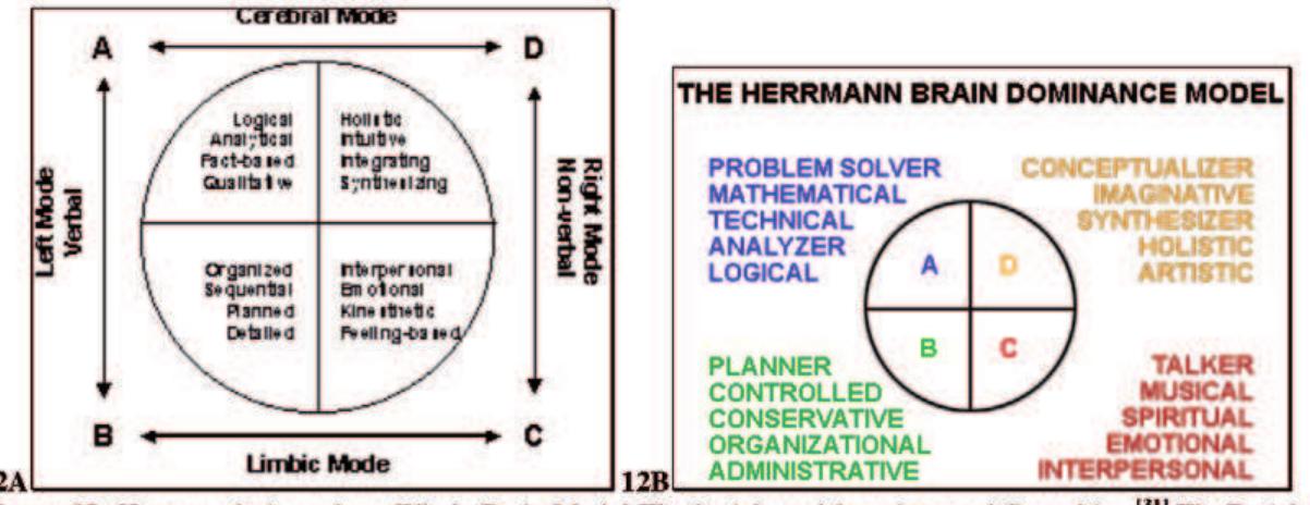 -12: herrmann’'s 4-quadrant whole brain model fig-a: adapted