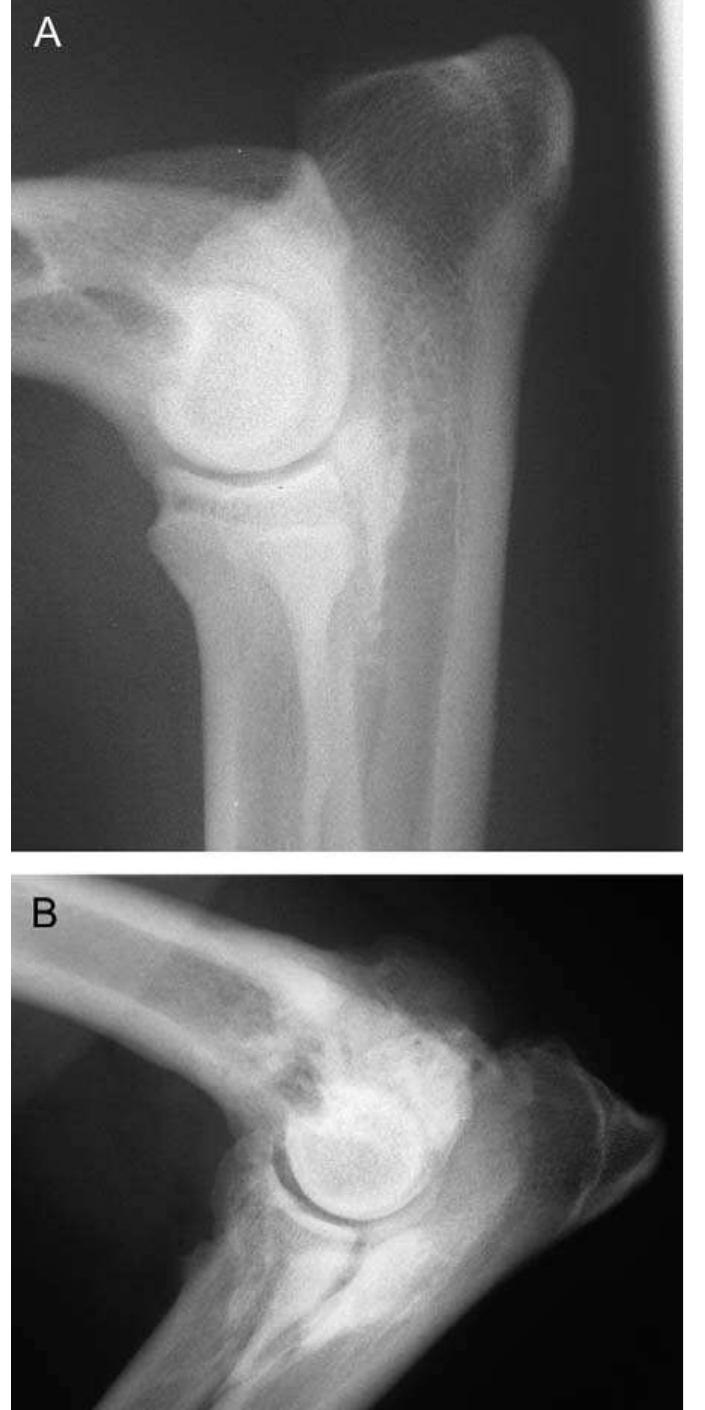 (a) mediolateral radiograph of the elbow from a dog