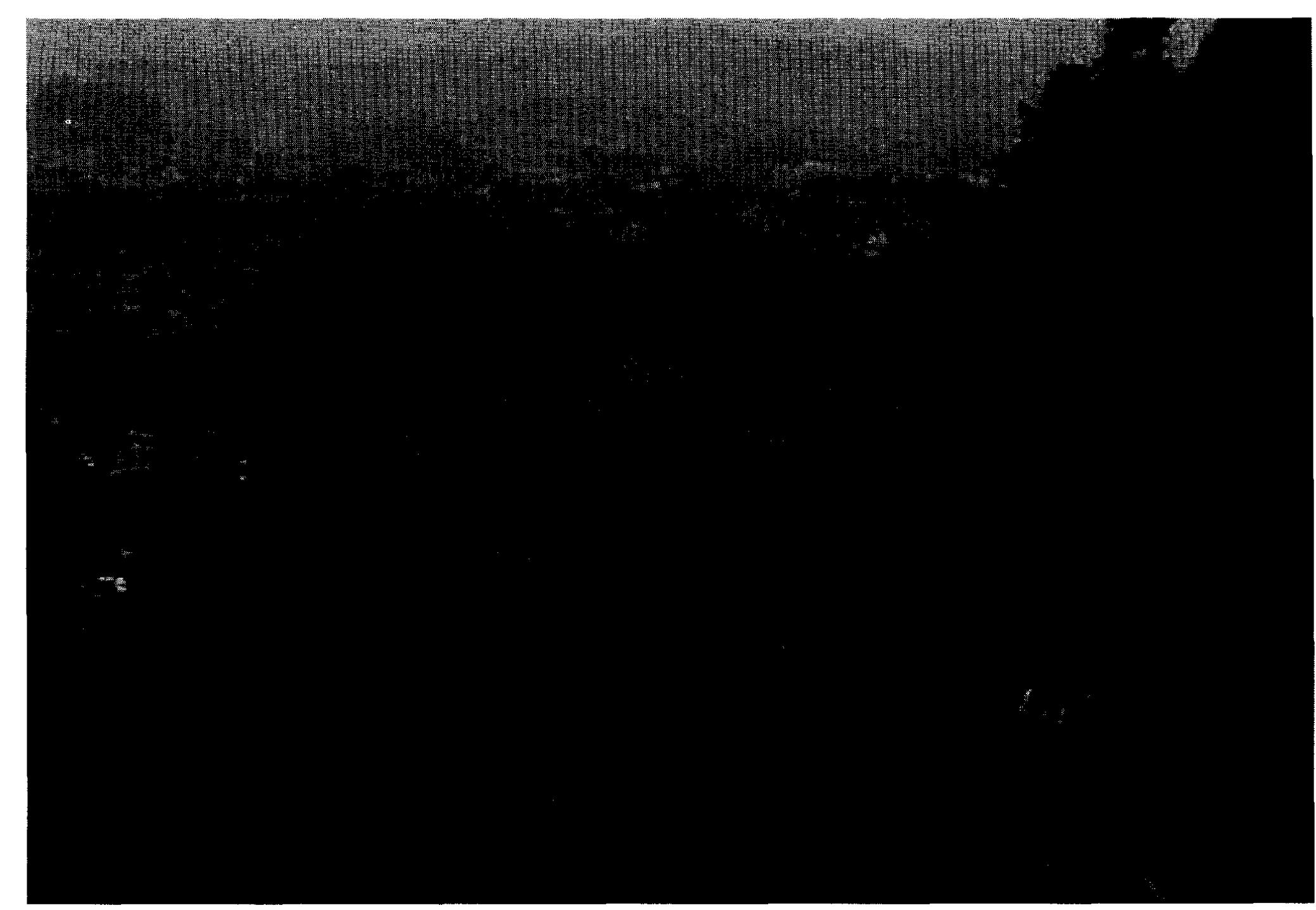 Figure 3 - from Archaeoastronomy and Astronomy in Culture in