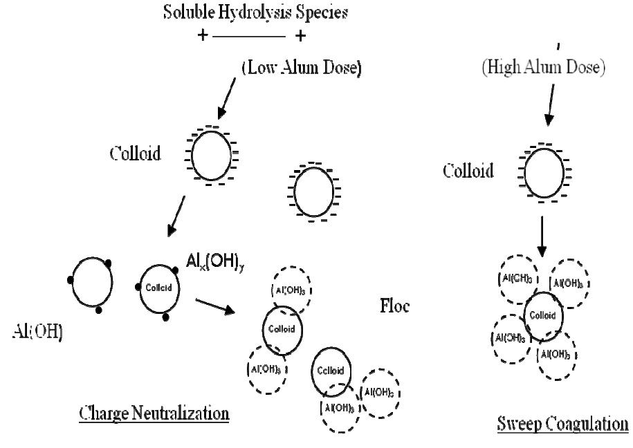 Conventional coagulation with metal coagulants are