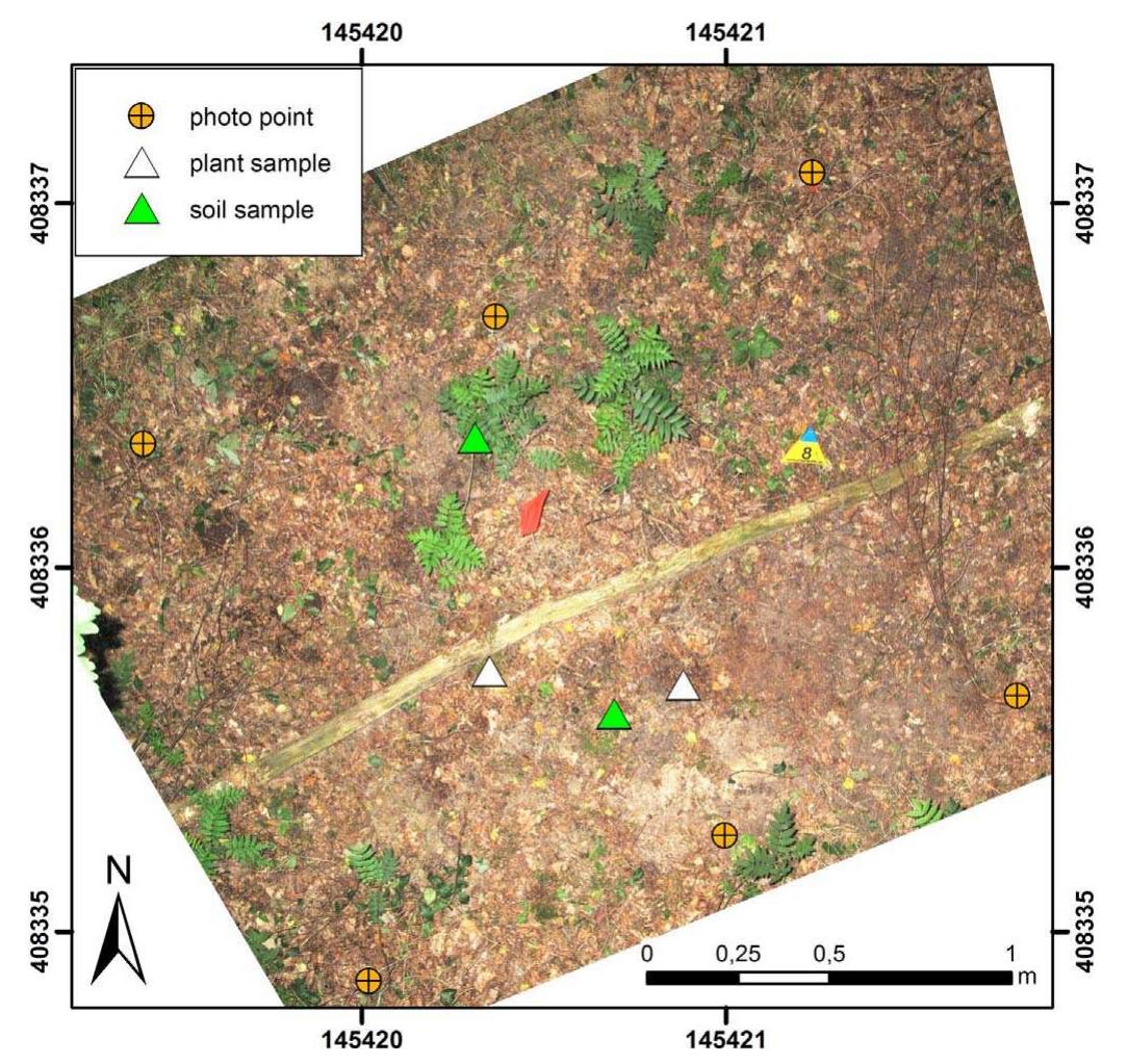 Map of the clandestine burial before excavation, with the