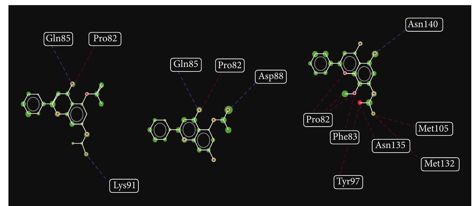 Ligand map showing the hydrogen bonding (blue lines), steric