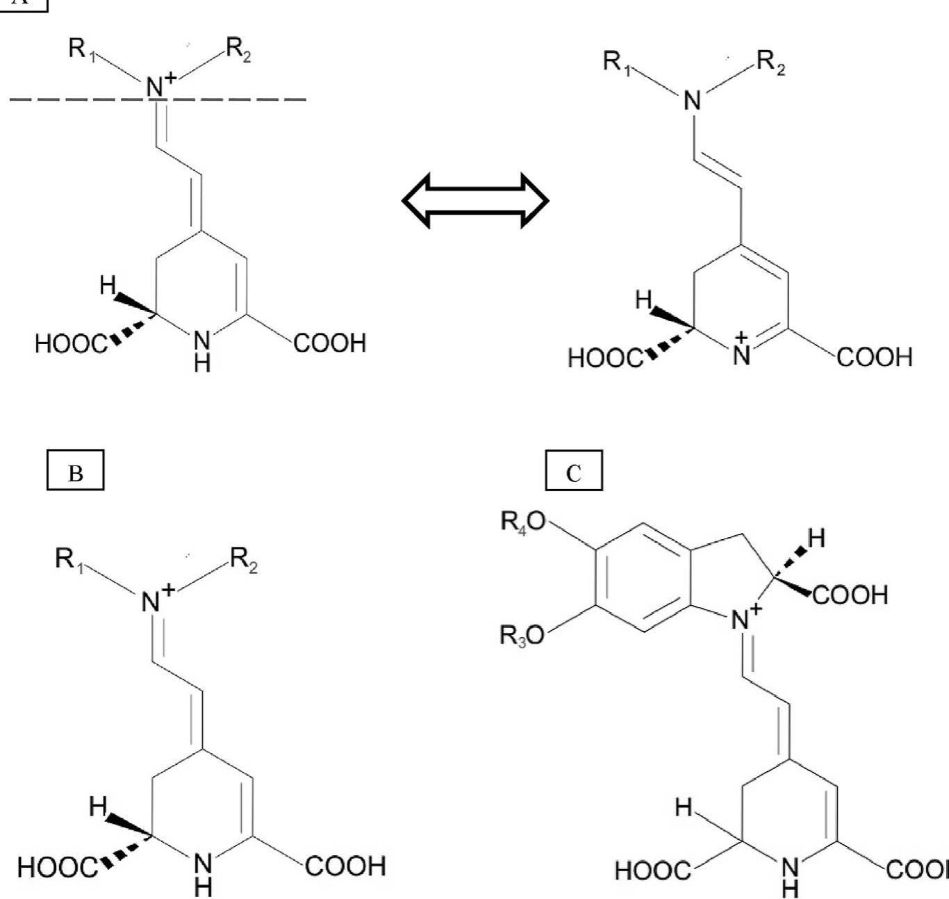 (a) resonance structure of betalain (b) basic structure of