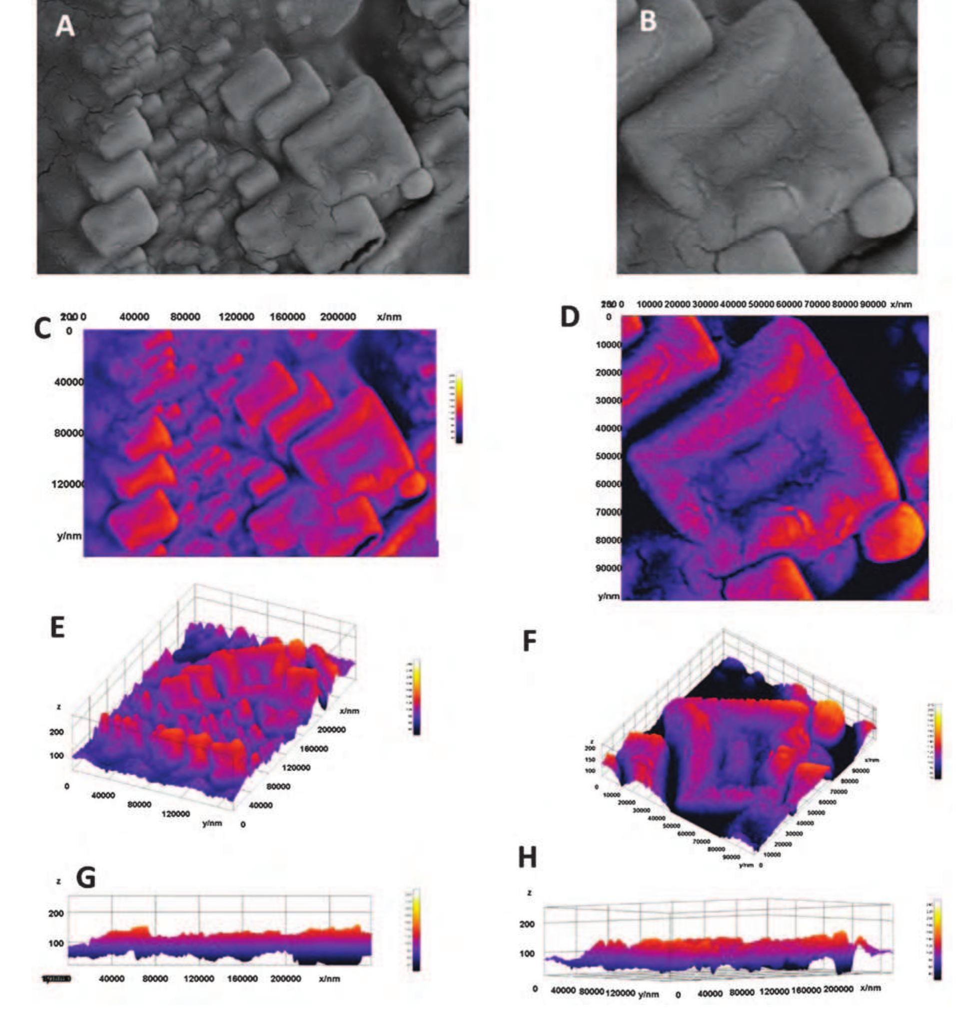 Fesem image of gold nanocages (concaved-like structure of