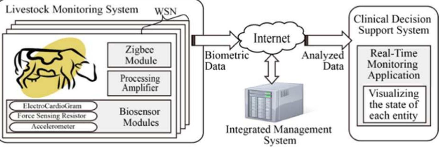 Schematic of a livestock monitoring system depicting the