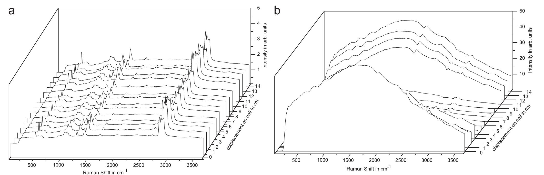 Raw raman spectra of a non-aged module (a) and a 4000 h