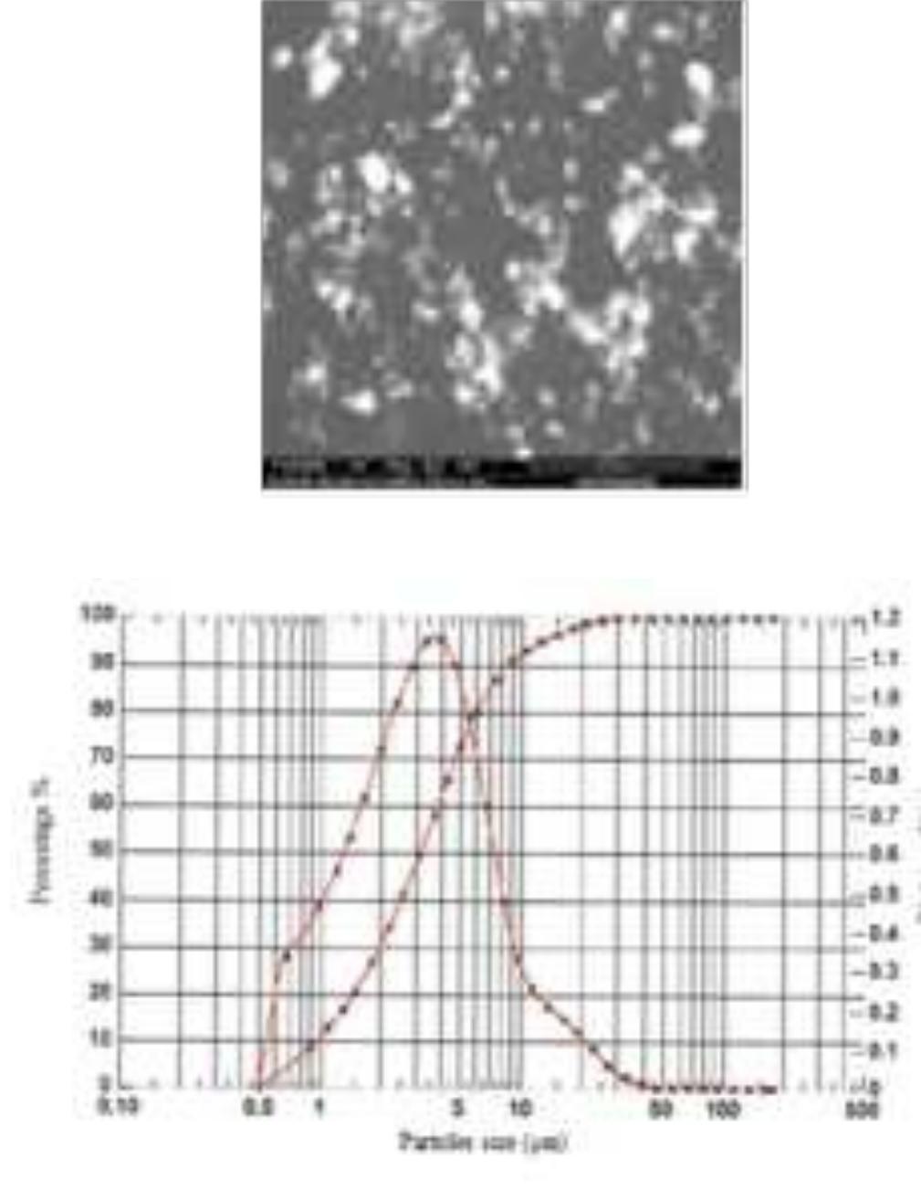 (a) sem micrograph of hap grain morphology, (b) grain size