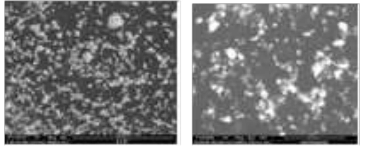 Figure 28 - Chitosan-Calcium Phosphate Complex Composite