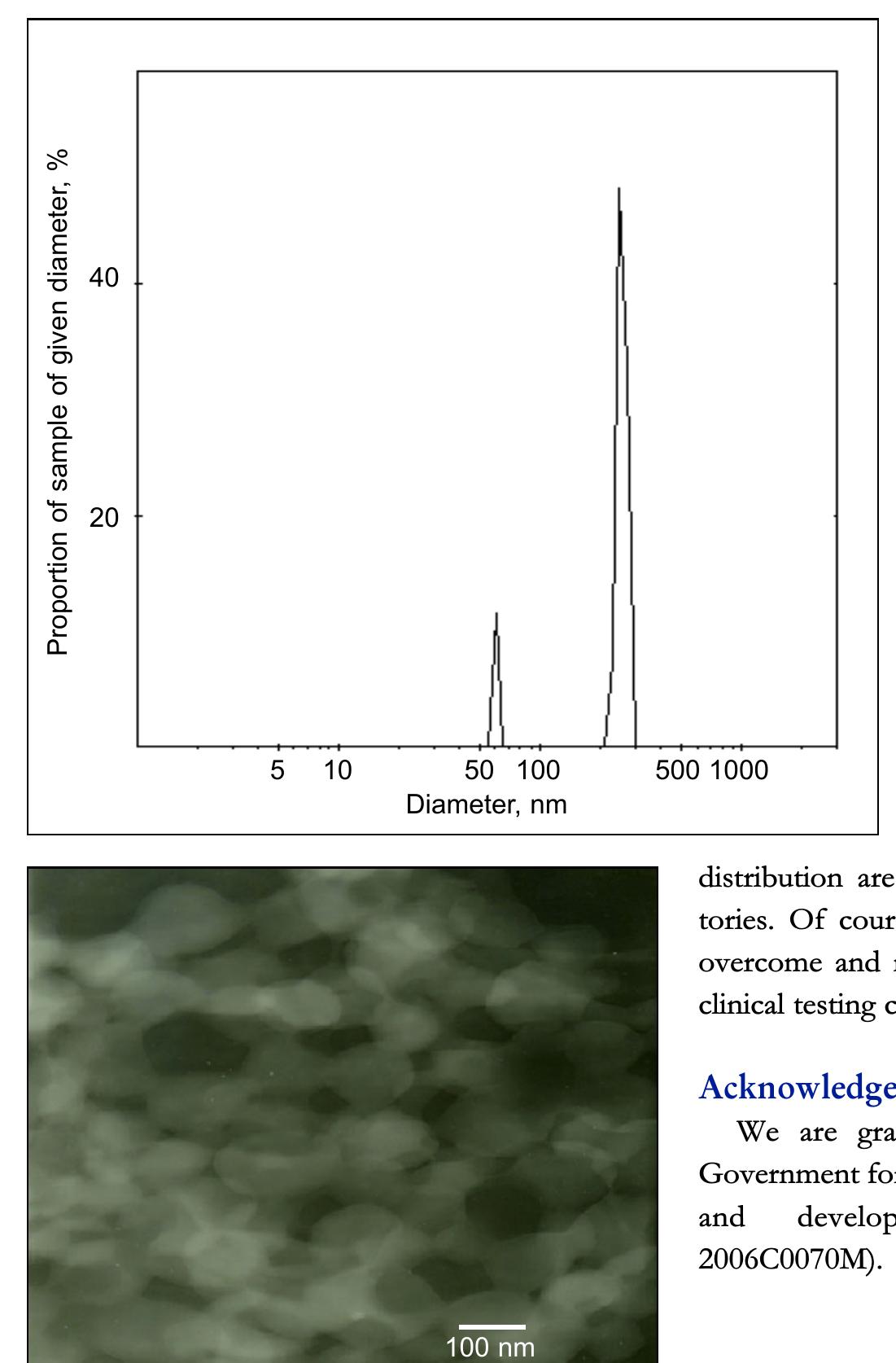 Transmission electron microscope image of the liposome