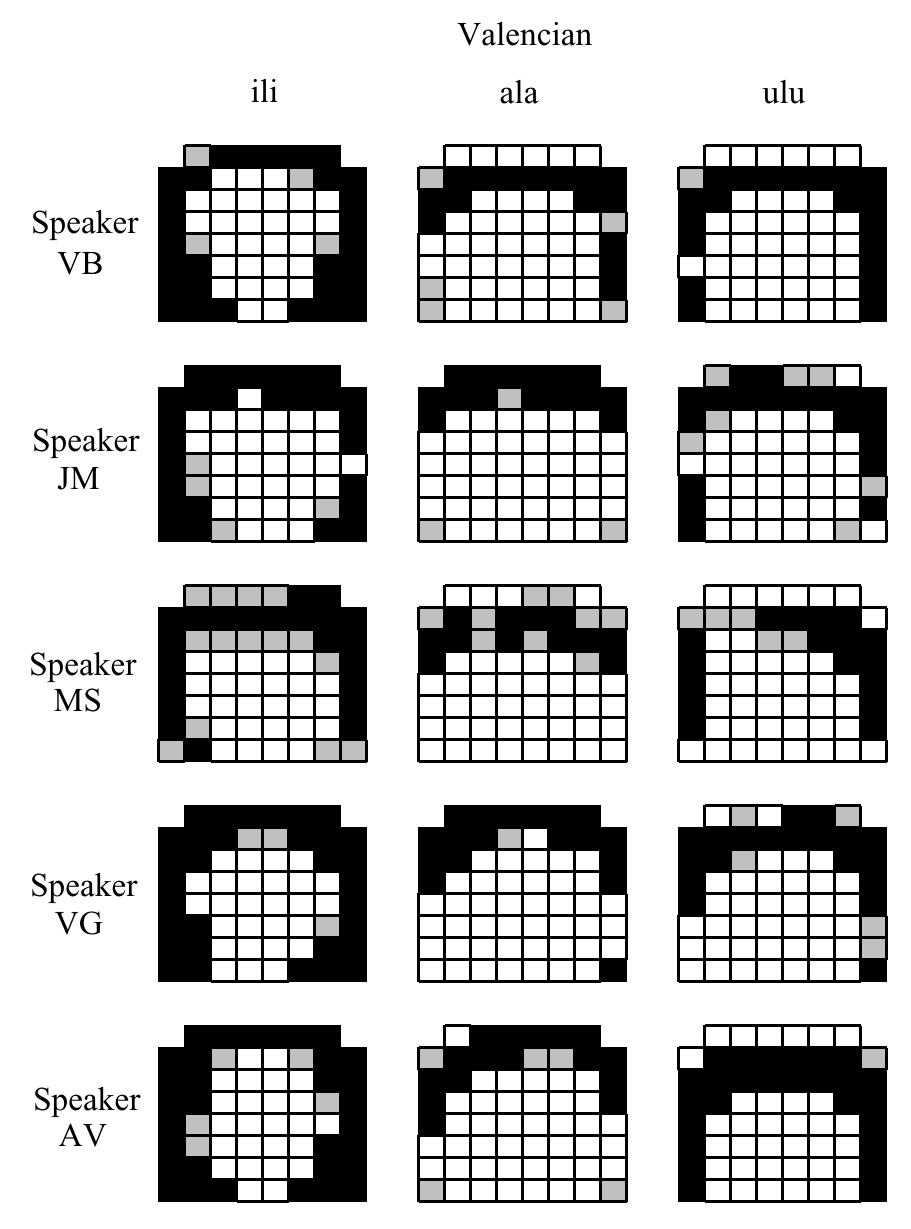 Figure 2 - from Articulatory, positional and coarticulatory
