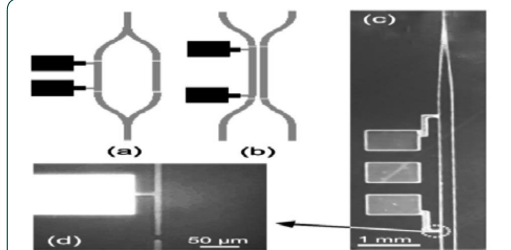 Schematic layout of lrspp-based (a) mzim and (b) dcs. (c)