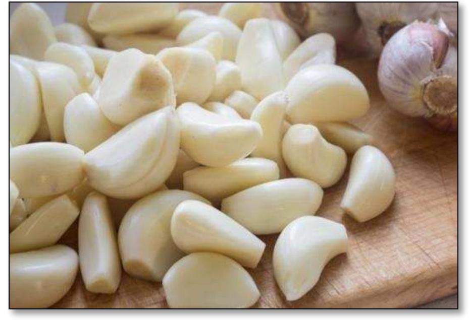 (PDF) Possible interactions between garlic and conventional drugs: a review