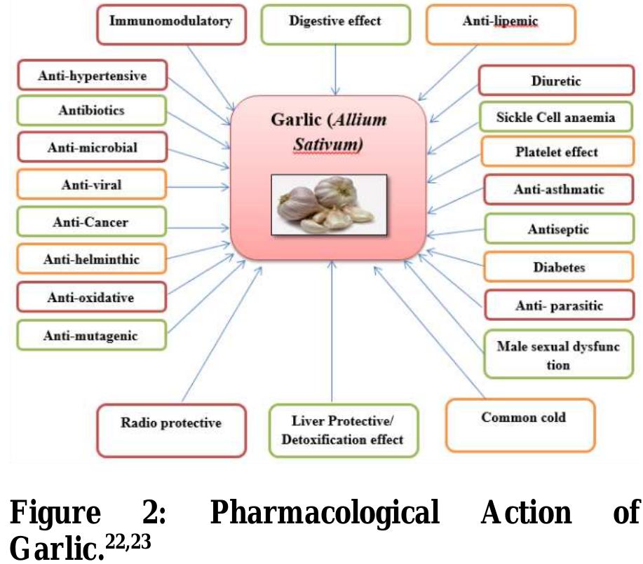 (PDF) Possible interactions between garlic and conventional drugs: a review