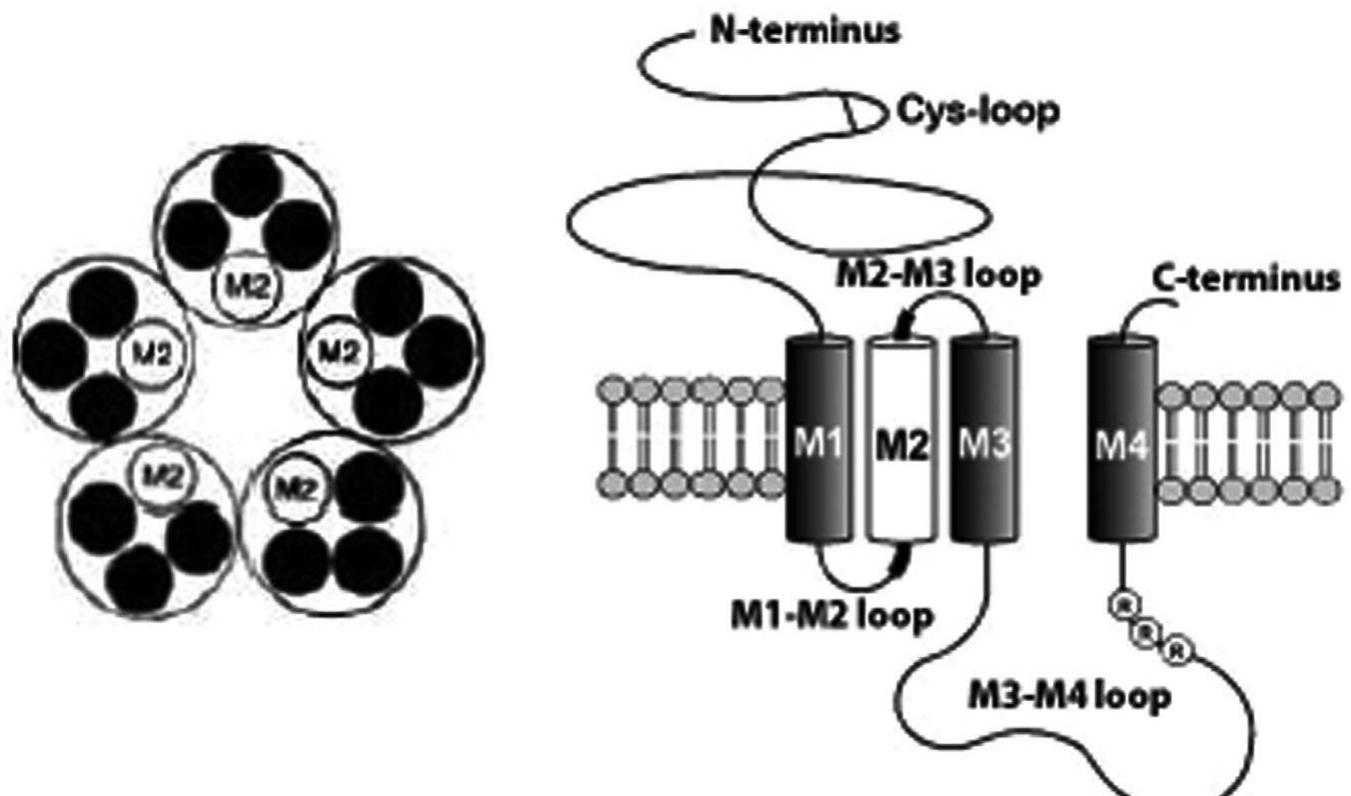 The (a) cross section of lgic depicting the arrangement of