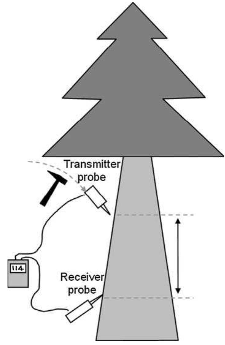 A typical stress wave measurement set-up wang et al. (2007)