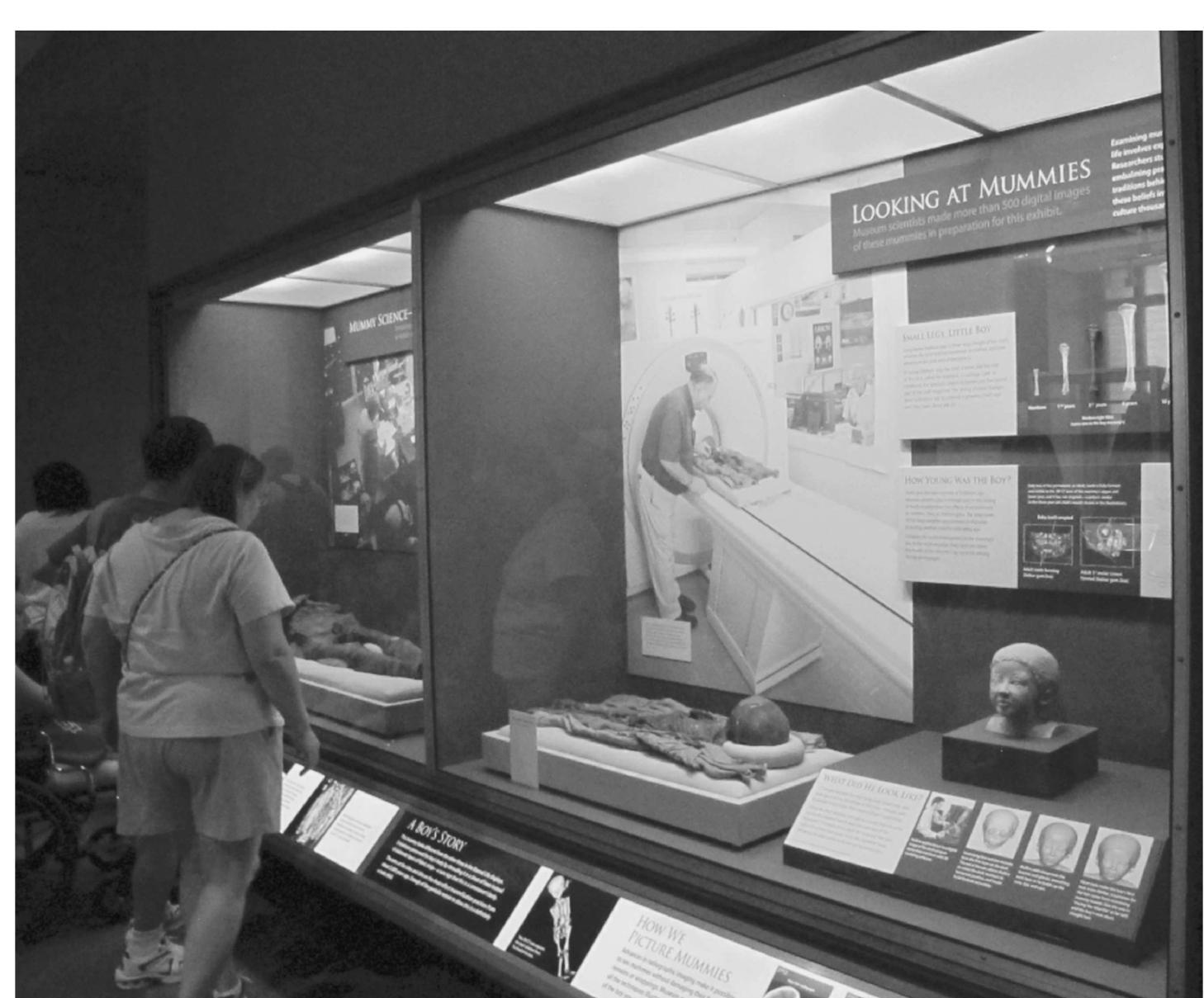 6 mummies on display at the national museum of natural