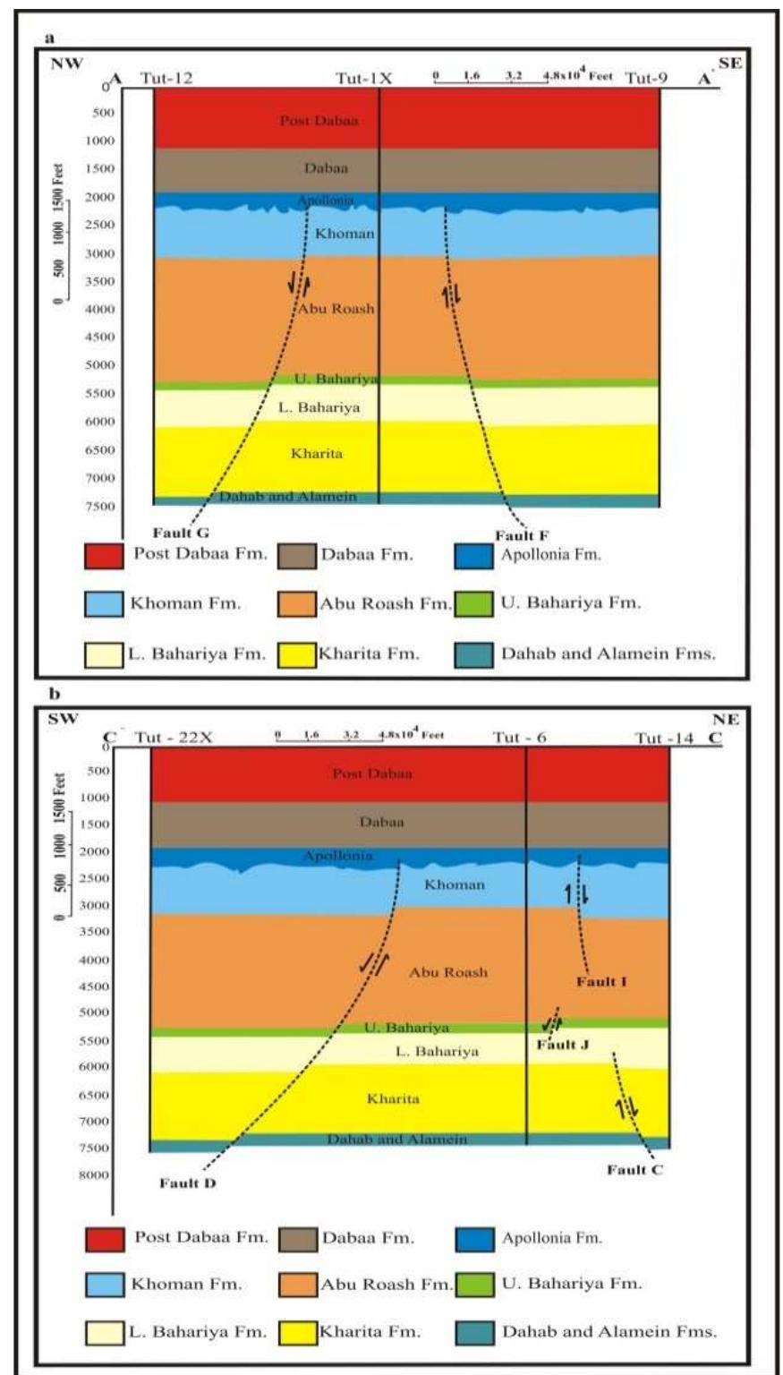 Figure 9 - from RESERVOIR EVALUATION OF BAHARIYA FORMATION