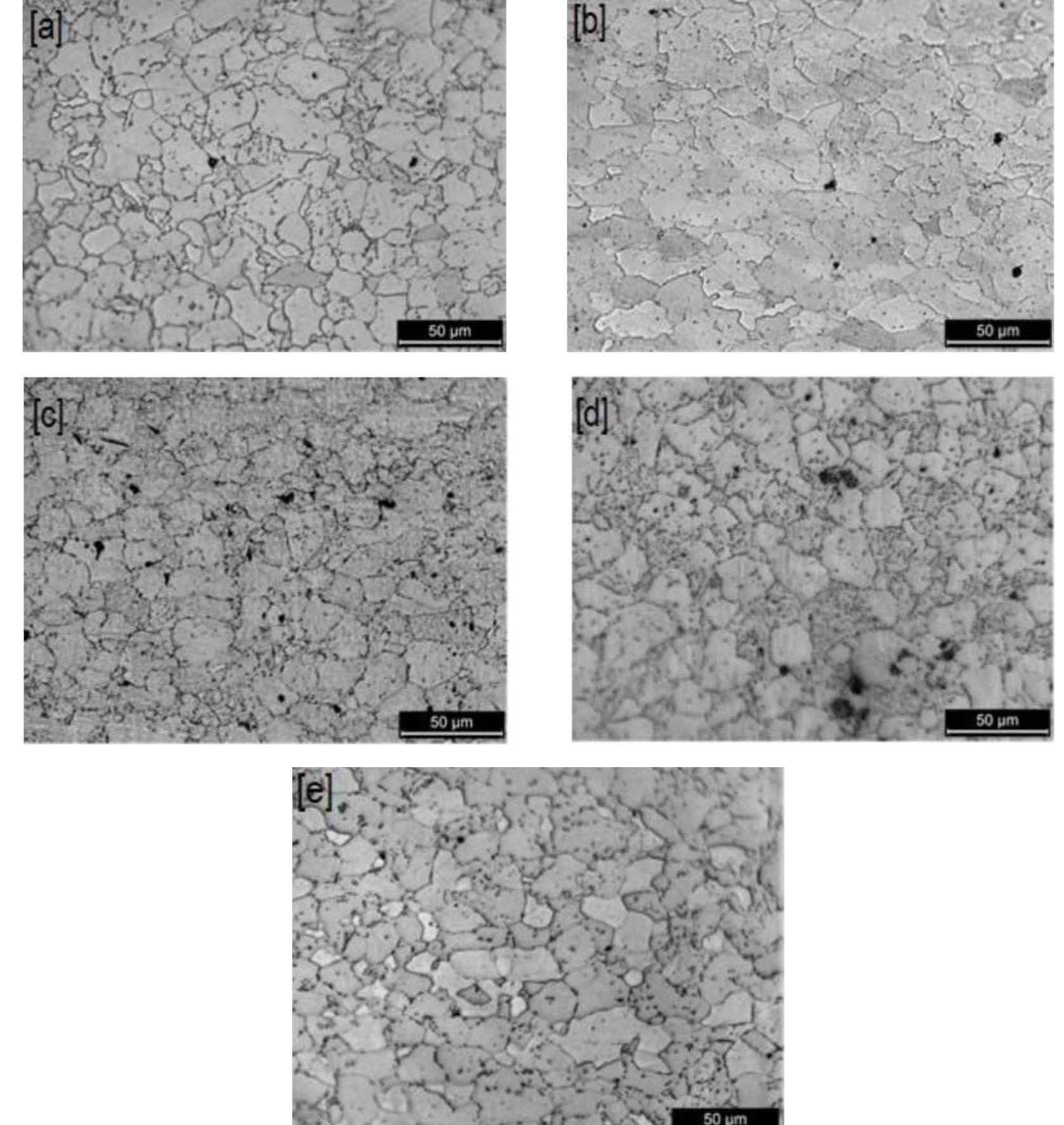Optical microstructure of transverse section of damaged
